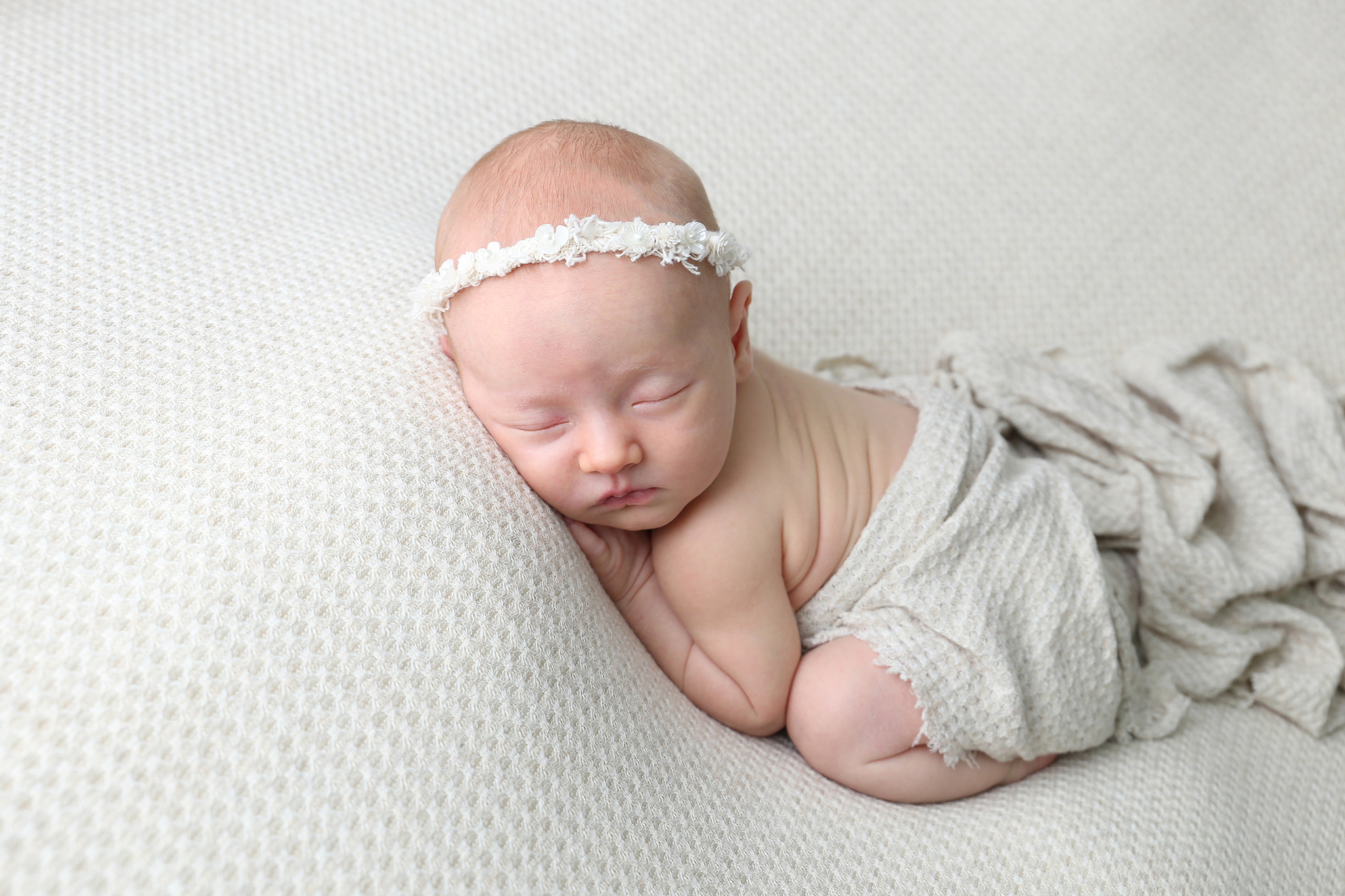 Newborn Photo Session Prices | Investment and Information – Windsor, CO ...